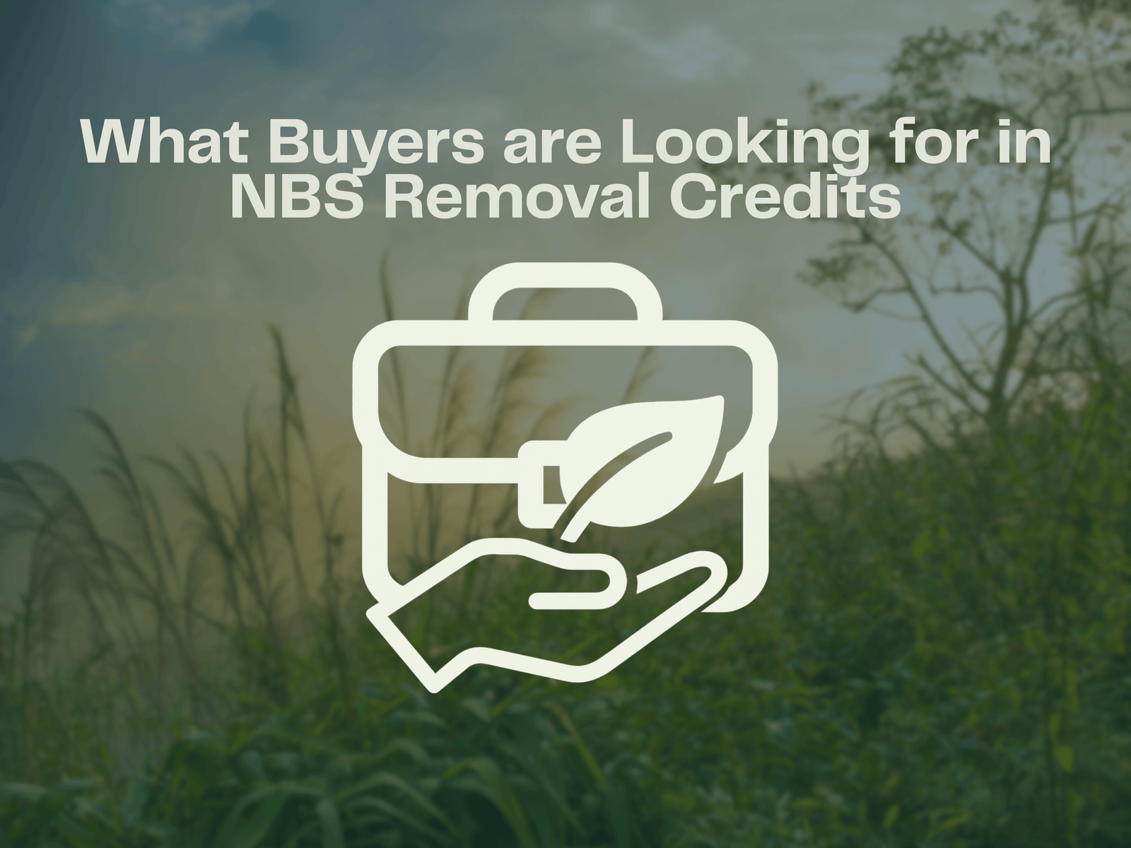 What Buyers are Looking for in NBS Removal Credits | Cloverly